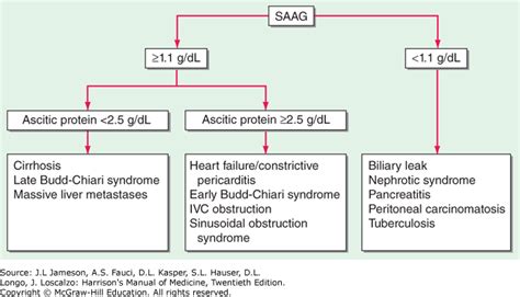 Euh Morning Report What Is The Algorithm For The Diagnosis Of Ascites