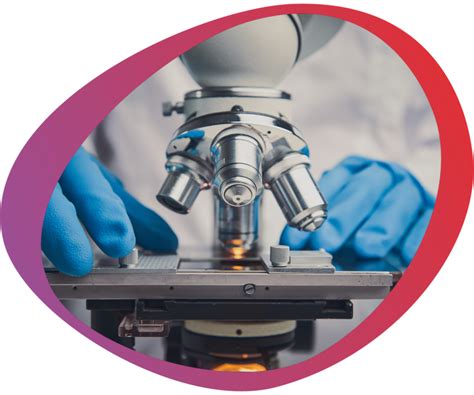 Glp And Gcp Compliant Cro Tissue Based Analysis Histologix