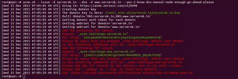 Acme Sh SSL Using Manual DNS Method ServerOK