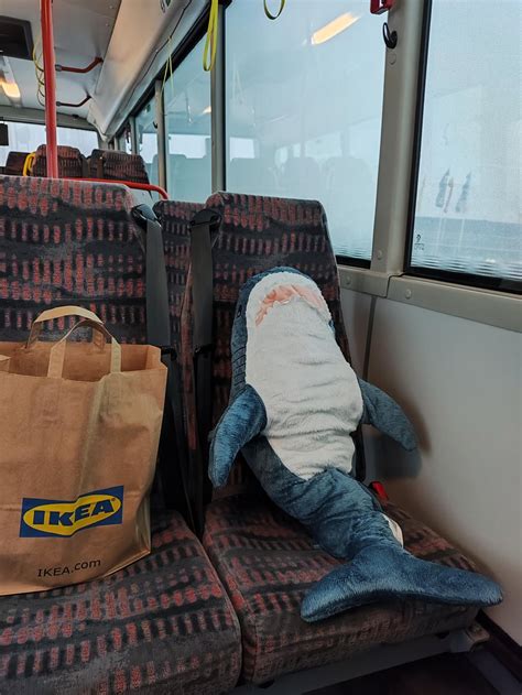 Blahaj taking the bus home from IKEA after work : r/BLAHAJ