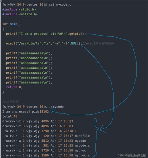 【linux操作系统】 进程程序替换 操作系统替换 csdn博客