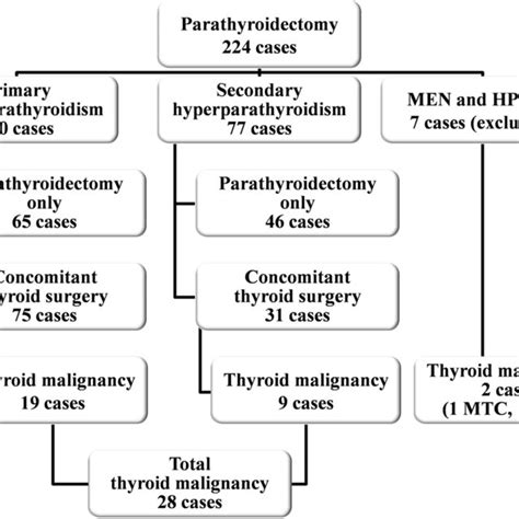 Group Stratification According To The Type Of Hyperparathyroidism