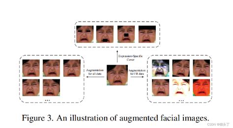 【菜鸡读论文】face2exp combating data biases for facial expression