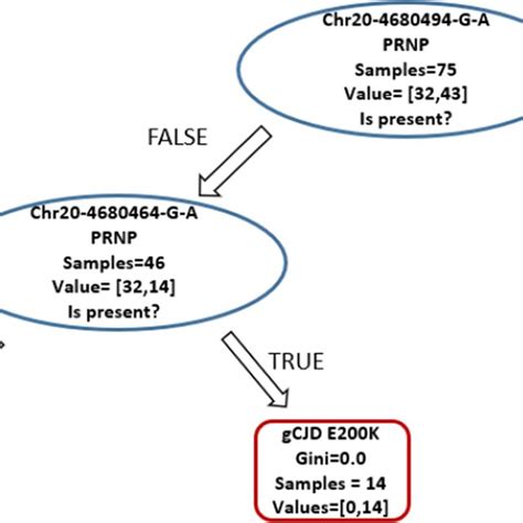 Dataset Classification According To Decision Trees Analysis This Download Scientific Diagram
