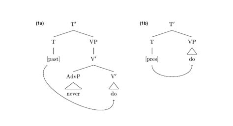 Numbering How To Add A Numbered Label To Syntax Tree TeX LaTeX Stack Exchange