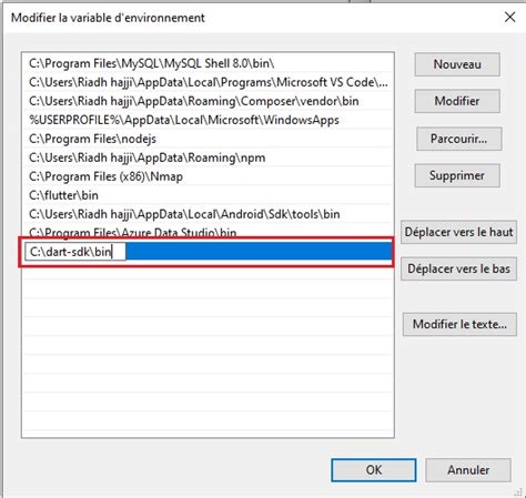 Installer Dart Sdk Sur Windows Apcpedagogie