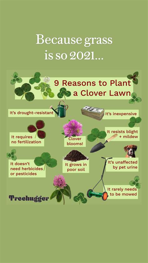 10 Grass Project For School Ideas To Save Today Outdoor Gardens Lawn