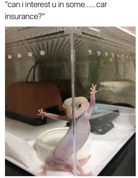 Sexy Meme By Chrisaguilar Memedroid