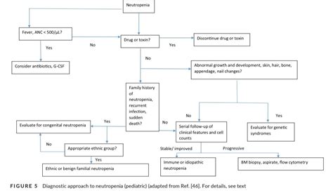 Pediatric Neutropenia Workup Algorithm Doi 101111ijlh13210