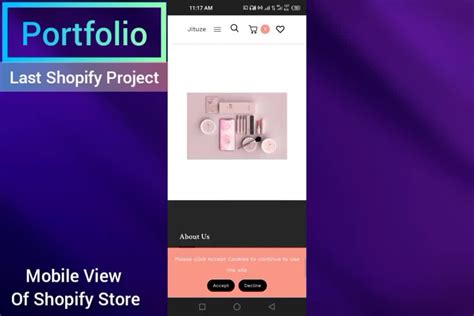 Premium Theme Shopify Dropshipping Store Upwork