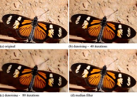 Figure 3 From An Interactive Algorithm For Image Smoothing And Segmentation Semantic Scholar