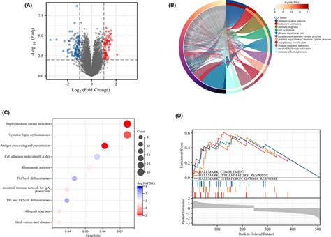 Functional Enrichment Analysis Between High‐risk And Low‐risk Groups