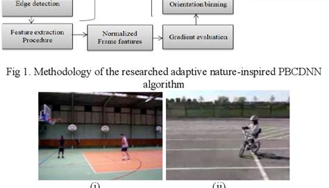 Figure 2 From An Adaptive Nature Inspired Paticle Bee Colony Deep Neural Network Technique For