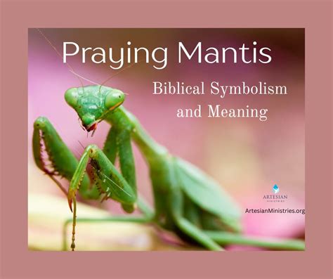 Praying Mantis In The Bible Symbolism And Meaning Artesian Ministries
