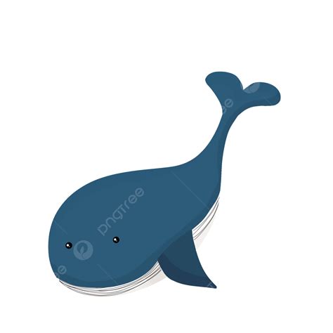 可愛的藍鯨卡通 摸魚 鯨魚 海素材圖案PSD和PNG圖片免費下載
