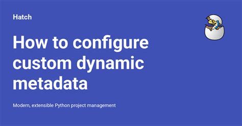 How To Configure Custom Dynamic Metadata Hatch