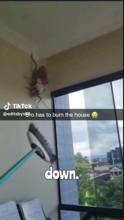 Demon Cockroach Youtube