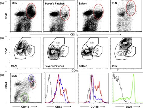 Dc Subsets In The Mesenteric Lymph Node And Other Lymphoid Tissues A Download Scientific