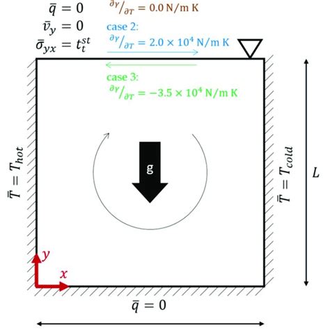 Schematic Of Cavity With Buoyancy Driven Convective Flow Thin Black Download Scientific