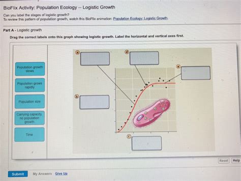 Solved Bioflix Activity Population Ecology Logistic Grow