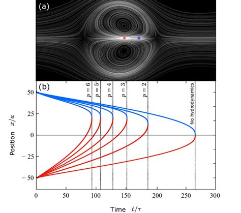 A Example Of Flow Field In The Surrounding Of A 1 P Pair Obtained Download Scientific