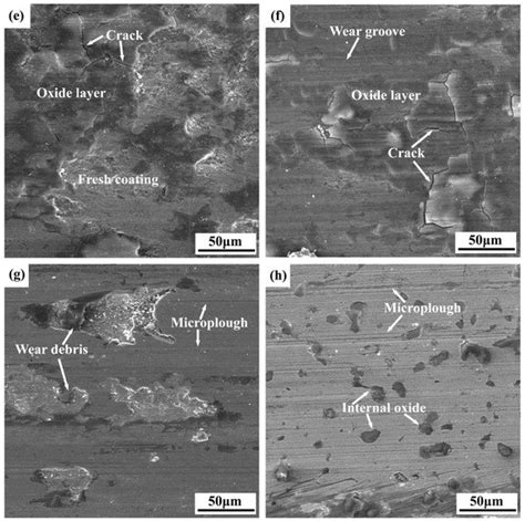 Improvement Of Microstructure And Sliding Wear Property Of Cold Sprayed Feal Intermetallic