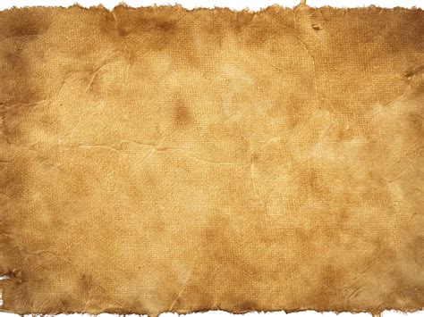 Download Parchment Background 1440 X 1080