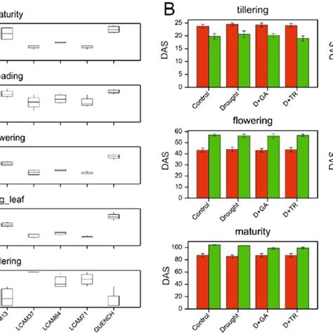 Biplot Visualization Of Variability Of Yield Related Traits Between