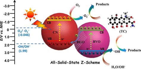 Rgo Promoted All Solid State G C3n4bivo4 Z Scheme Heterostructure With Enhanced Photocatalytic