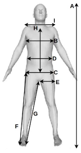 Github Vcarlosrb3d Body Measurements Body Measurements
