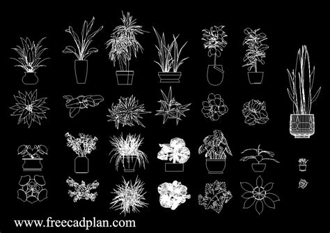 Potted Plants Elevation Cad Blocks Free Cad Block And Autocad Drawing