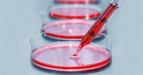 maximizing quality and potency of cell culture media stoic bio