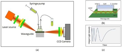 Mycotoxin Biosensor Based On Optical Planar Waveguide Abstract