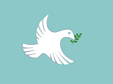 2 Easy Ways To Draw A Dove WikiHow