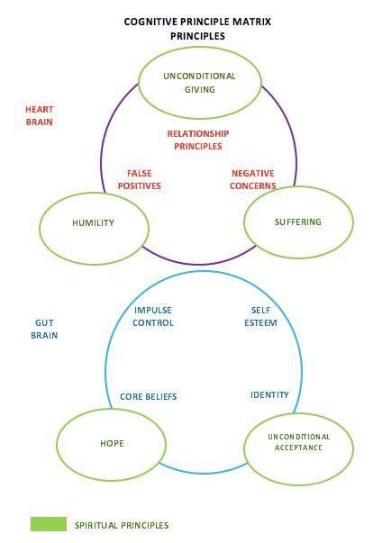 In Cognitive Principle Therapy The Head Brains Uses Spiritual