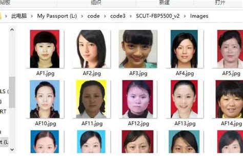 python颜值打分器 你的长相能打几分 csdn博客