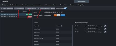 Ayon 20238 Production Beta Testing Notes Administration Ynput Community