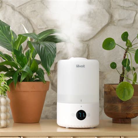 Зволожувач повітря Levoit Smart Humidifier Dual 200S - купити онлайн на ...