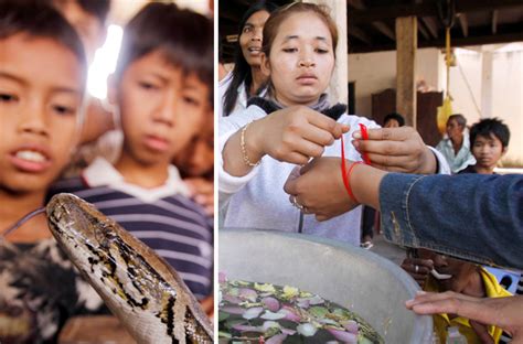 Magic Pythons Married In Cambodia To Bring Luck Asia Gulf News