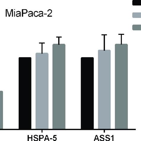 microarray validation mrna relative expression in human pancreatic