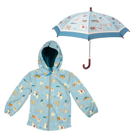 Raincoat In Rain And Umbrella