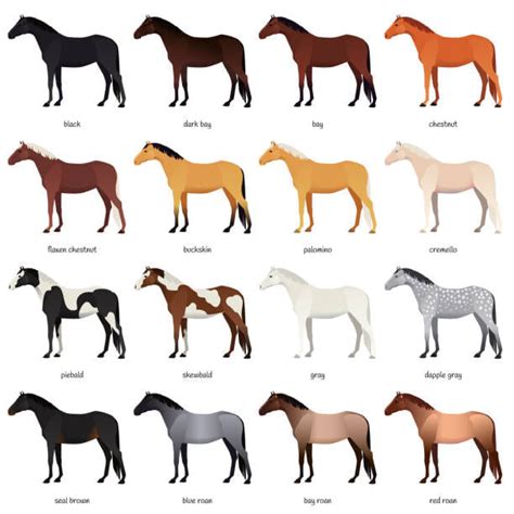 Dilutes Australia Nsw And Act Branch Sponsor Annoucement We Are