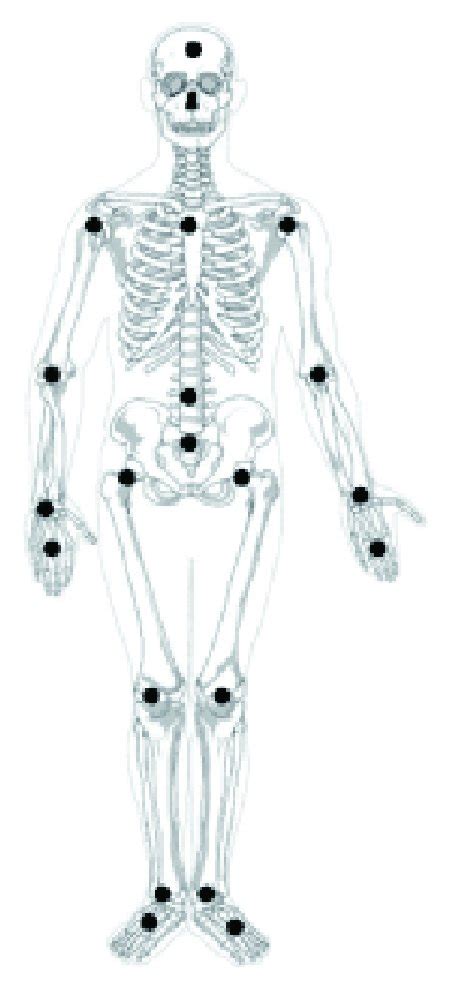Kinect For Windows Sdk Detected Joints Download Scientific Diagram
