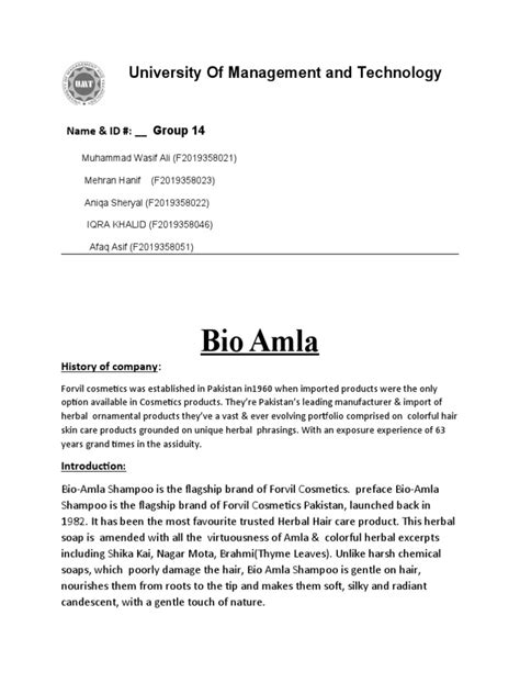 Final Project Group 14 Pdf Brand Advertising