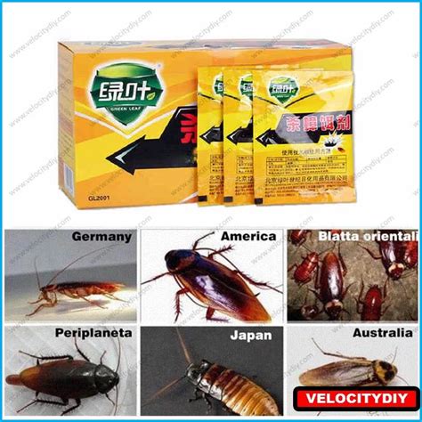 （蟑螂与蚂蚁诱饵）green Leaf Ant Killing Bait Cockroach Killing Bait Selleys