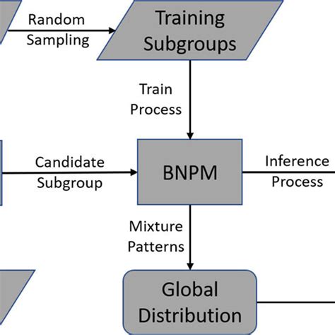 methodological pipeline involving bnpm download scientific diagram