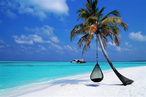 Vettori E Illustrazioni Di Spiaggia Baia Maya Con Download Gratuito Freepik