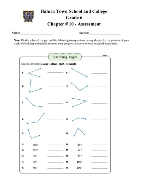 Grade 6 Angle Classification Assessment