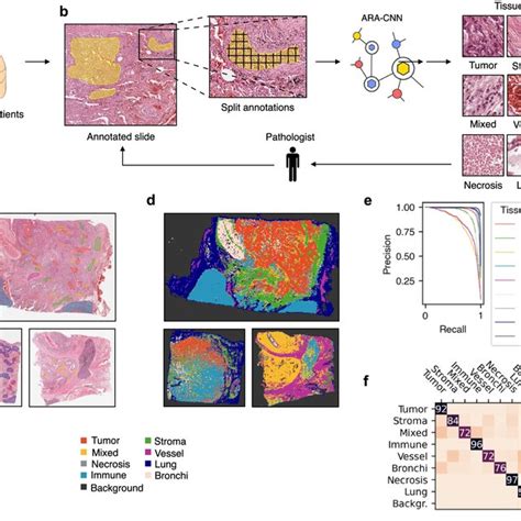 Feature Importance For The Two Best Performing Mutation Classification