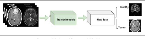 Figure 9 From Brain Tumor Detection Using Transfer Learning With Alexnet And Cnn Semantic Scholar